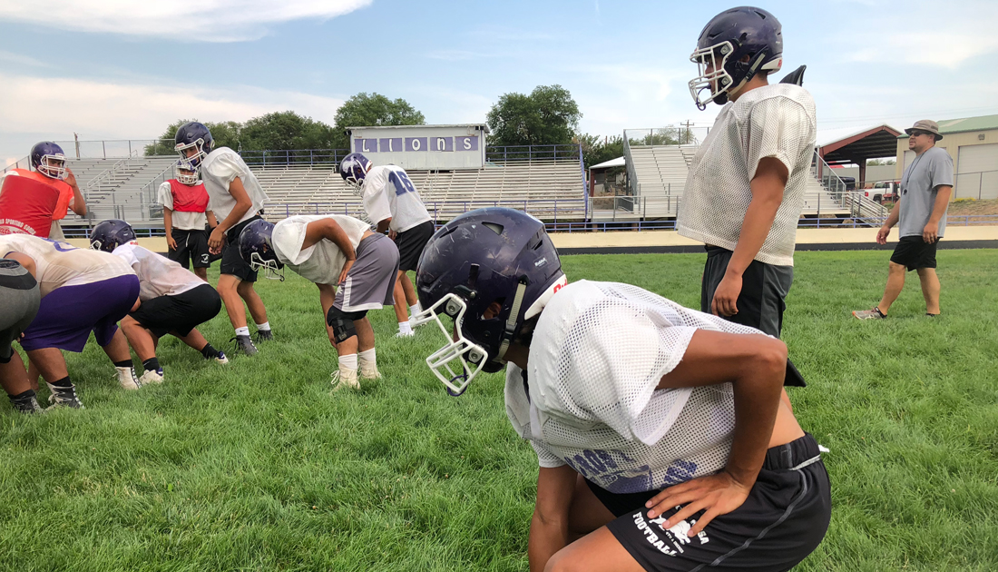 LIONS LOOKING TO ROAR BACK TO POSTSEASON – NMAA