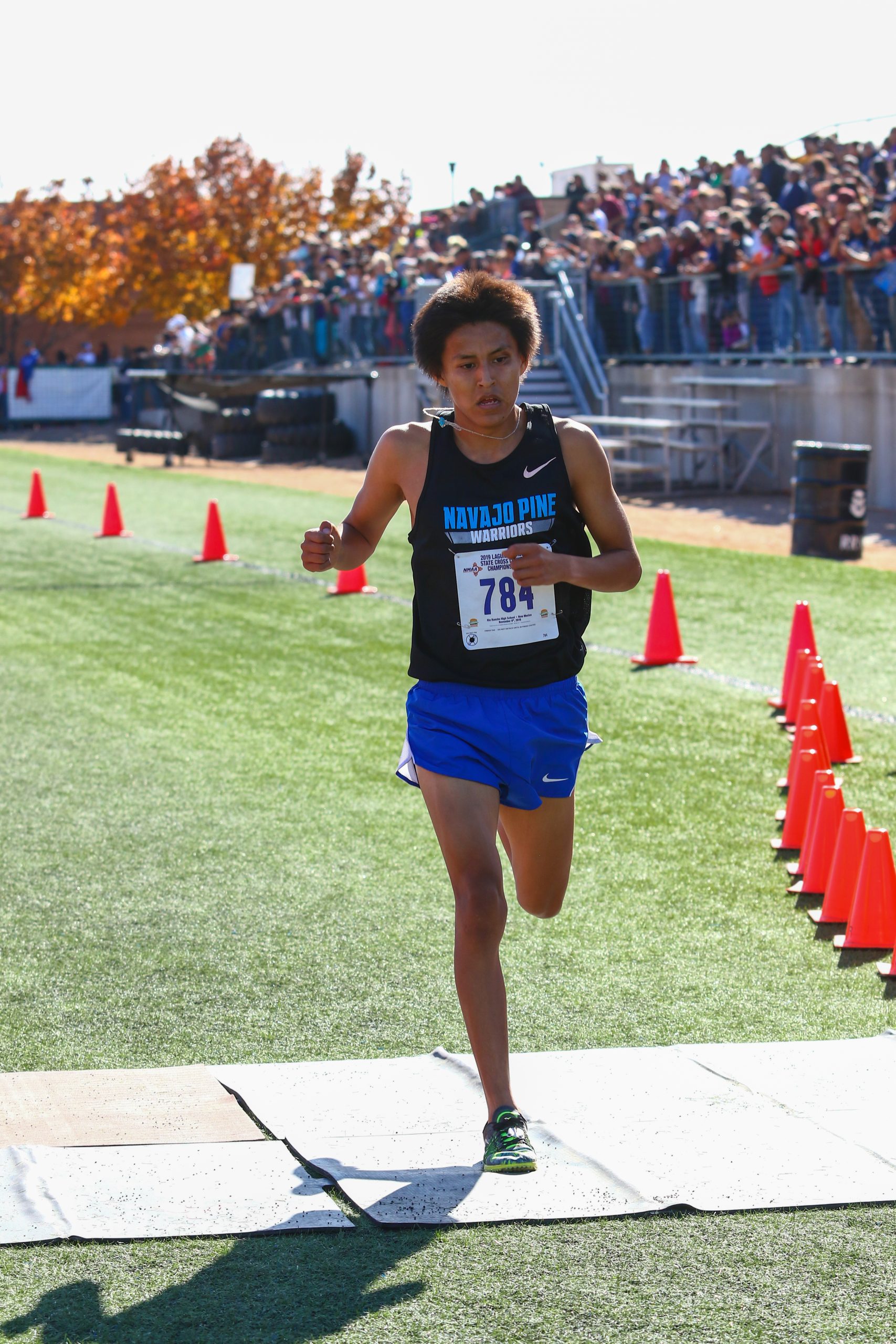 GALVIN CURLEY NAMED GATORADE NEW MEXICO BOYS CROSS COUNTRY RUNNER OF ...