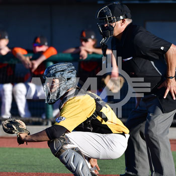 Baseball – NMAA