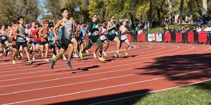 2025 Blue Cross and Blue Shield of New Mexico State Cross Country ...